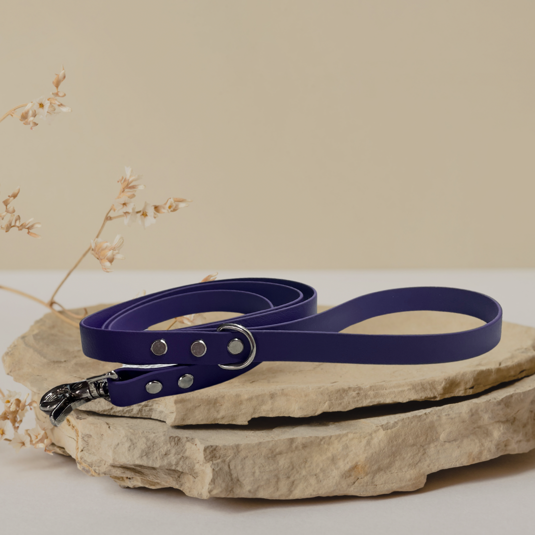 5ft Standard Biothane Leash – Peachy Paws & Claws