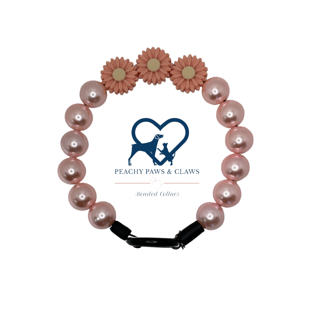 Blooms Of Pink – Peachy Paws & Claws